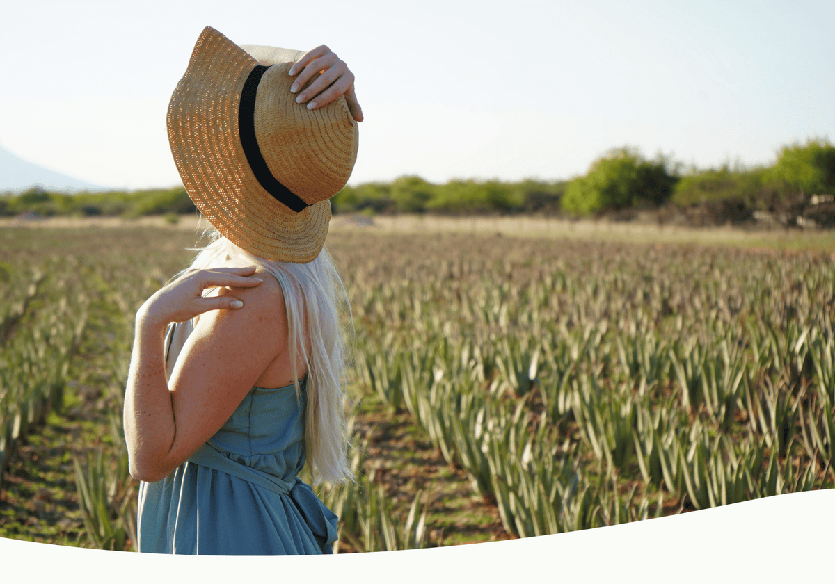 Aloe Workshop & Vera Farm | Curaloe Factory - Best Curaçao Activity